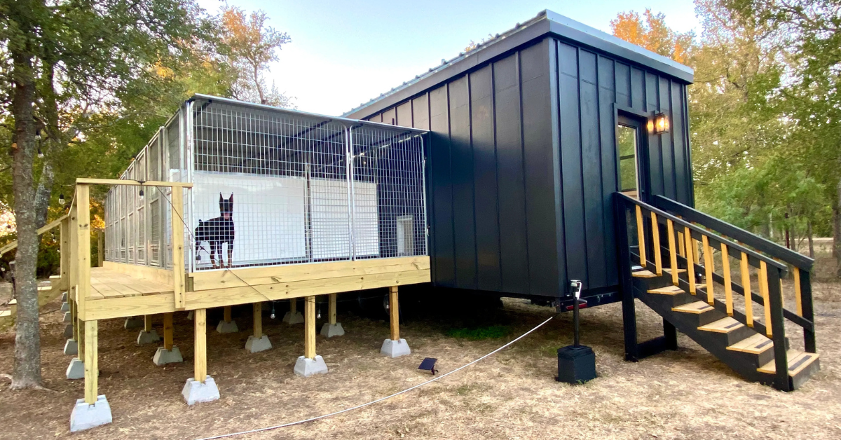 Specialized Boarding for Aggressive & Intact Dogs in Austin
